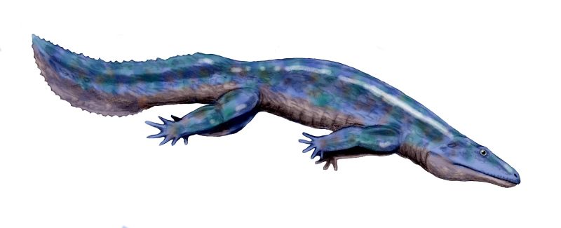 Los animales en la prehistoria: Animales prehistóricos con la letra D