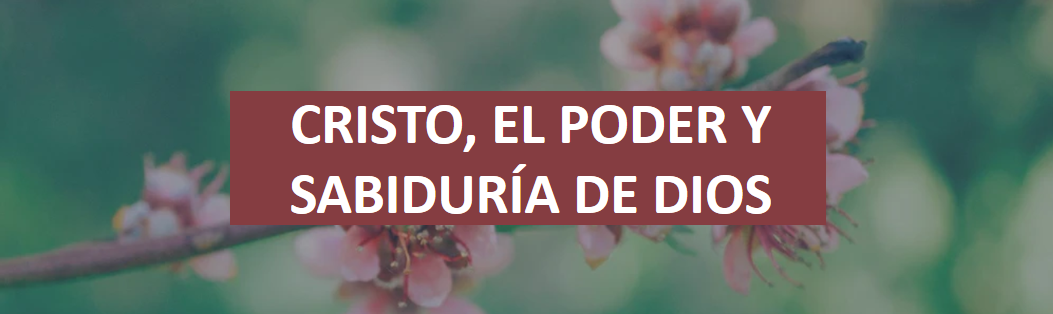 Revolución De Gracia: Cristo, El Poder Y Sabiduría De Dios