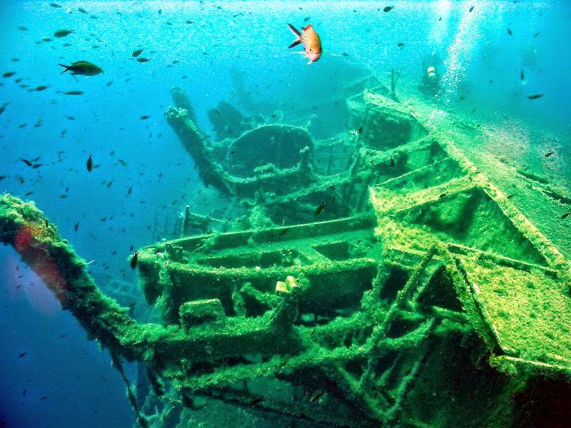 Aliathon Holiday Village Official Blog: Diving Experiences in Cyprus