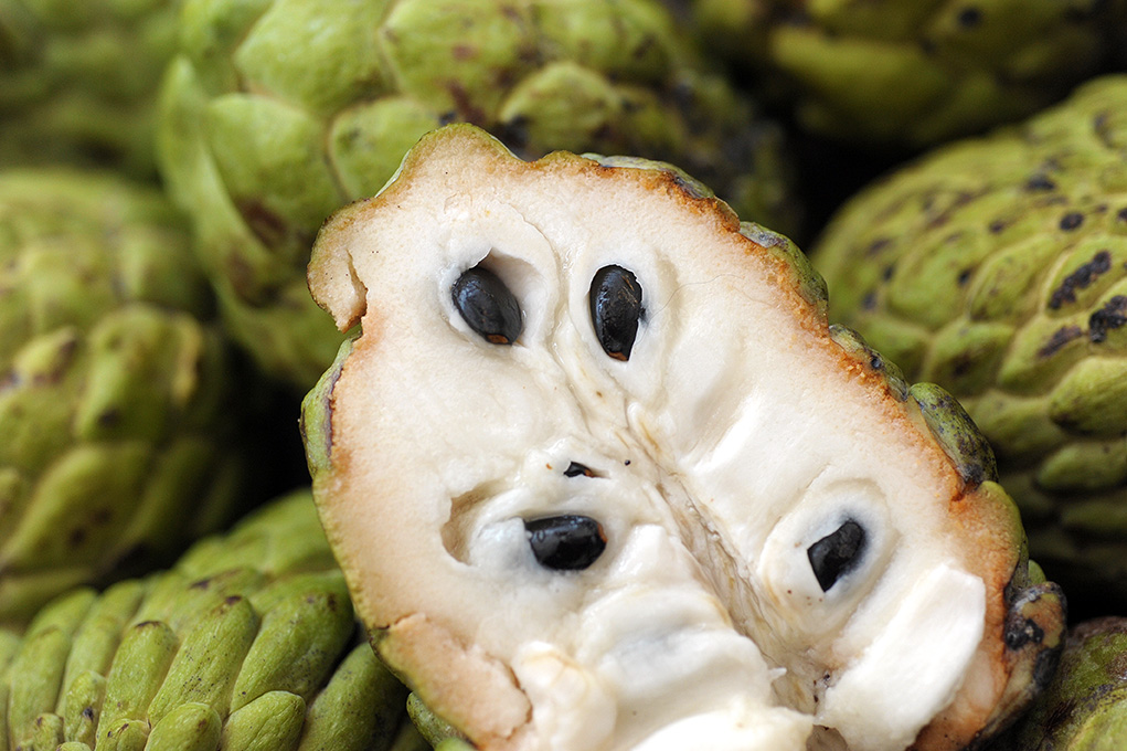 Terra Frutas Orgânicas: Atemoia. Conhece? Não? Vem provar aqui com a gente!