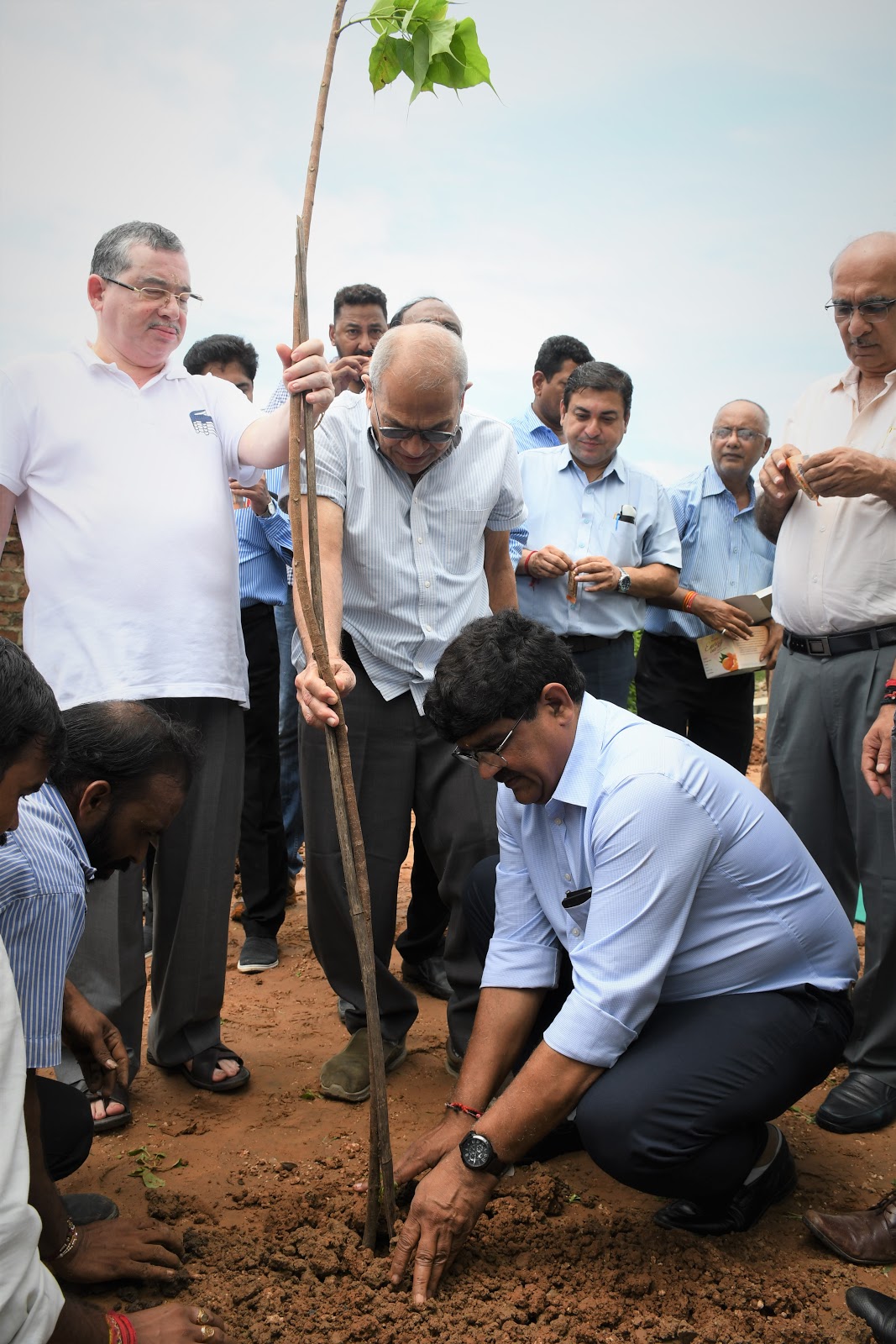 81 Tree Plantation - Celebration of Chairman's Birthday - NANDESARI ...