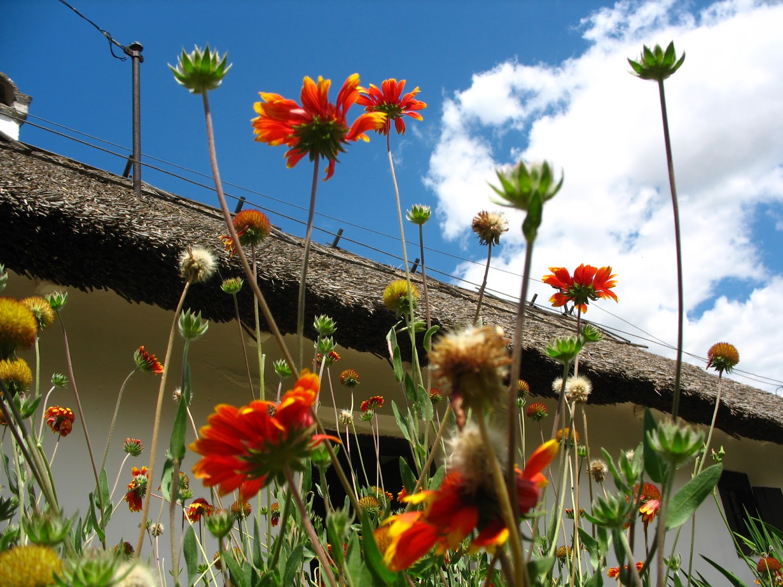 Április bolondja - Bolondos április