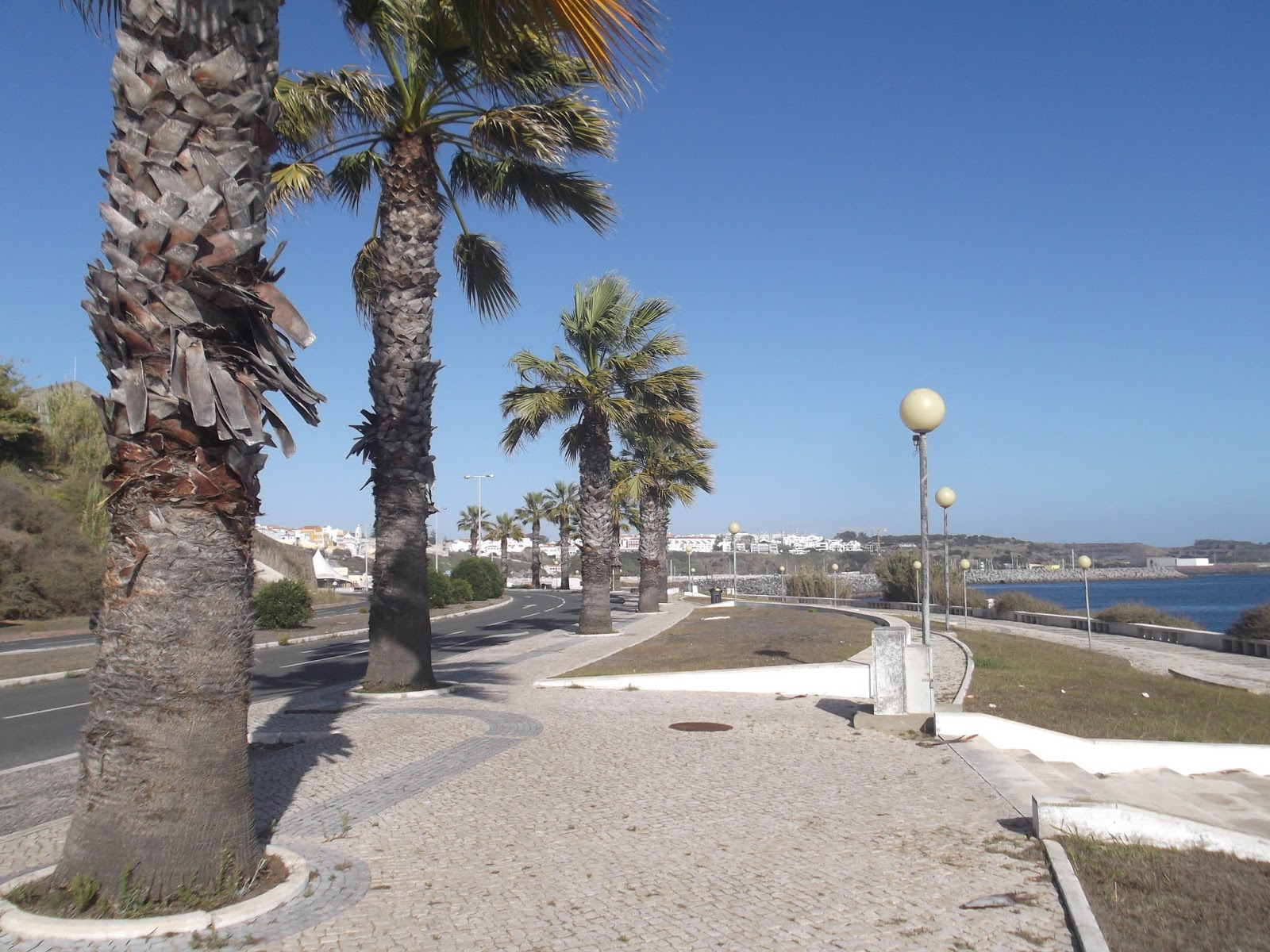 Chá de Limonete: 2019