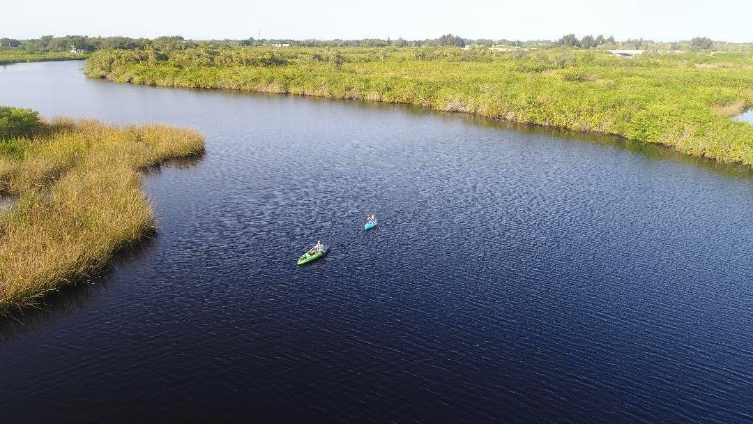The Tails of Jeff and Charli