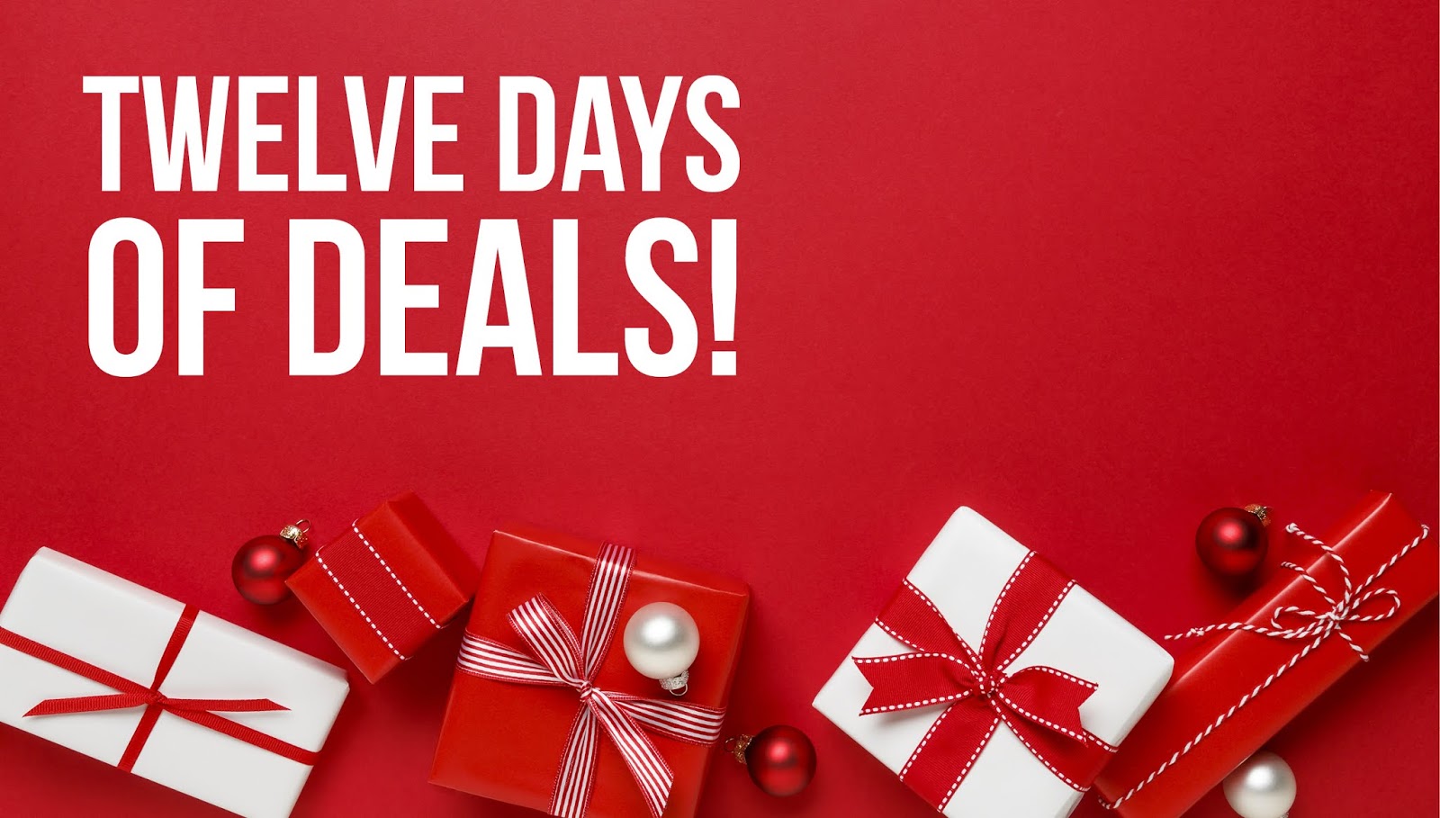 12 Days of Christmas!