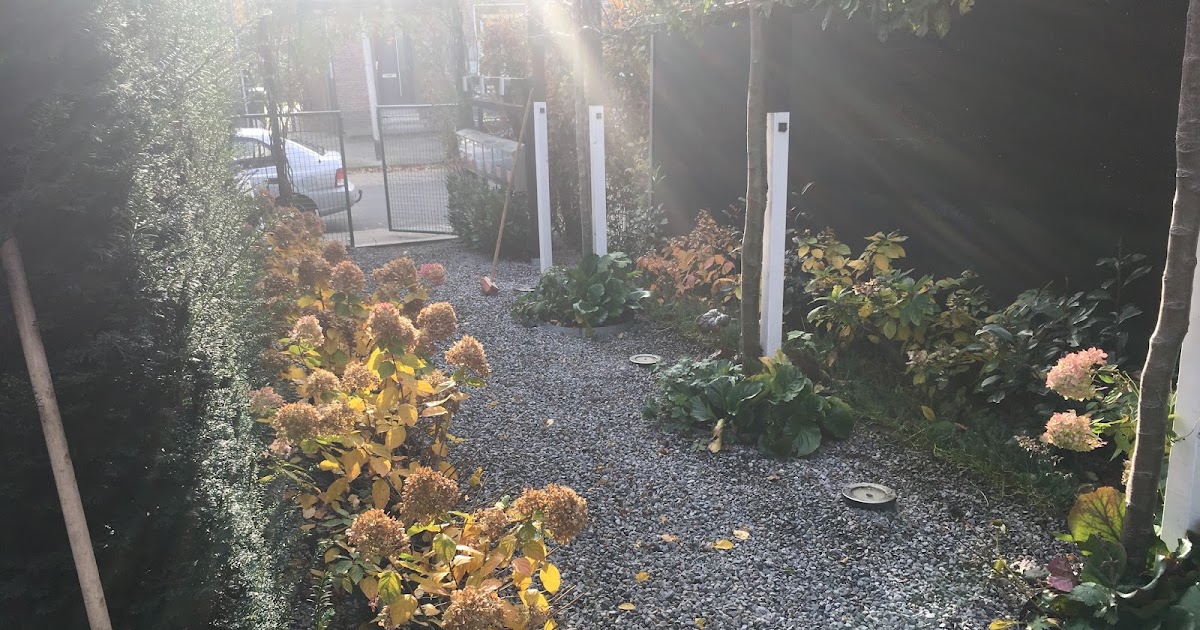 Potagerie in Maastricht: 17.11.2017 > Autumn........