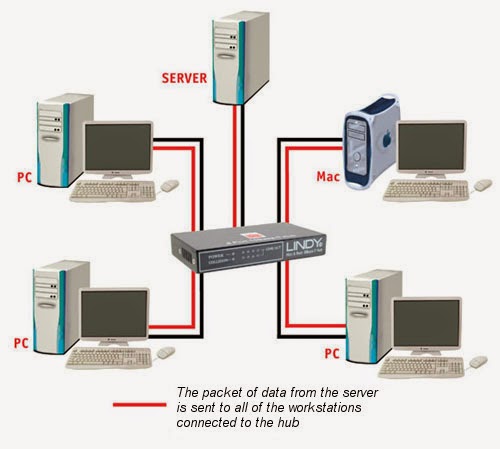 Somoregie: Network Hubs and Switches