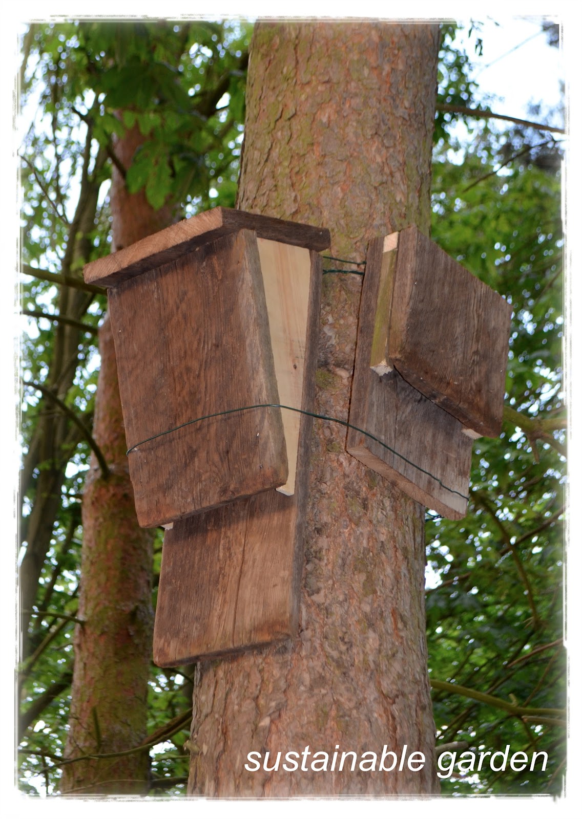 sustainable garden: bat boxes
