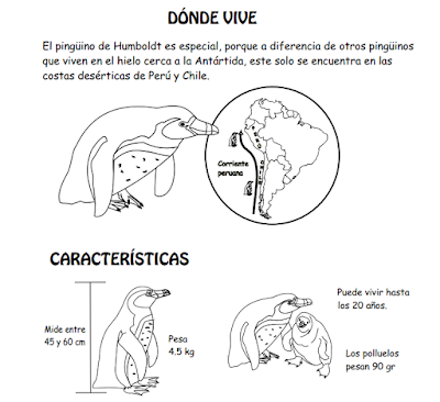 Escuela infantil castillo de Blanca: LOS PINGÜINOS