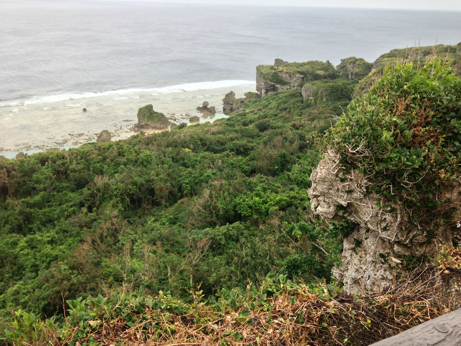 maxxJapan: G-1 on the Kadena ITT Okinawa Battle Sites Tour
