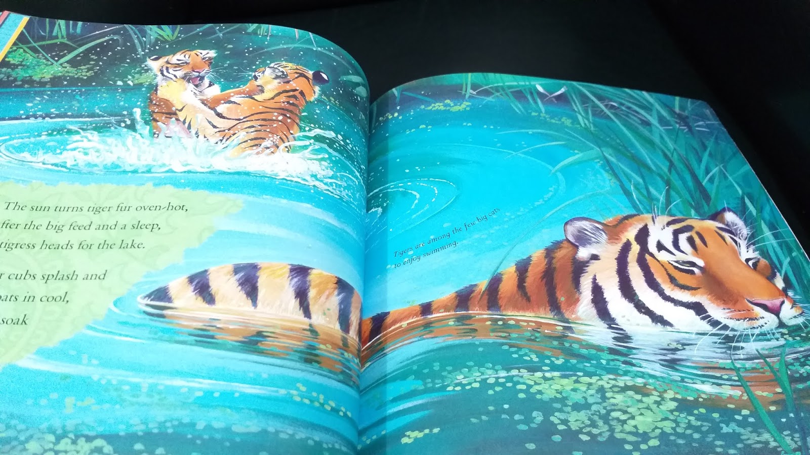 Kid Books Blog: 322.The Dancing Tigers / Tigress