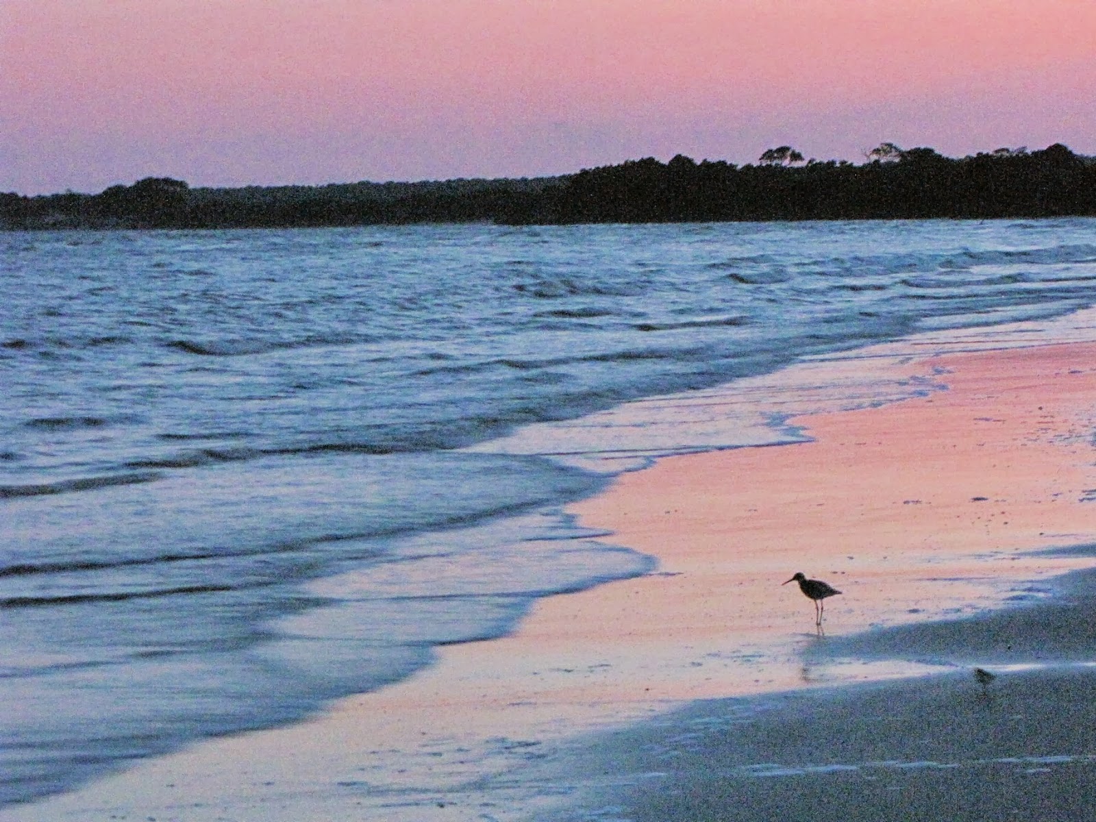 Femme au foyer: Your guide to visiting Sapelo Island