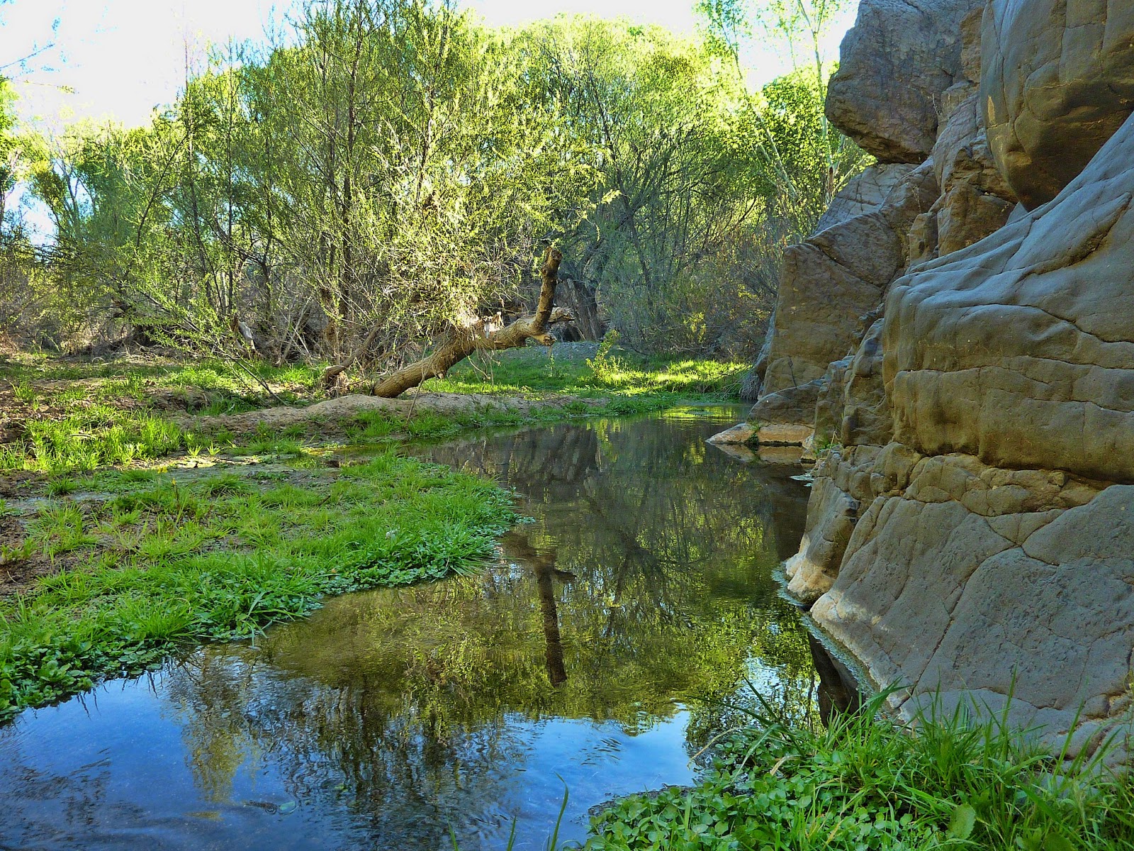 BM: Ash Creek Riparian Forest Hike
