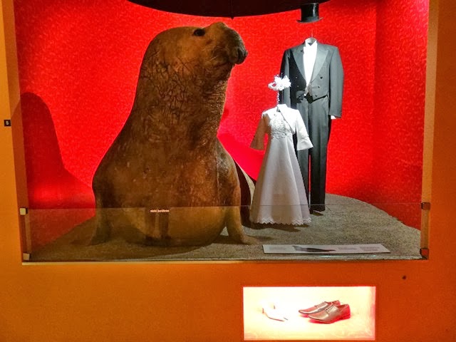 Jacques Huber and the Amazonian Botany: 2013