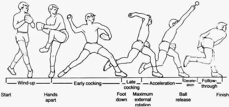 Sports and Conditioning Blogs: G. KINETIC LINK PRINCIPLE