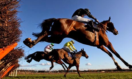 Vom Renn- zum Reitpferd: Die Rennen