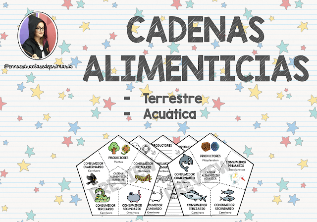 En nuestra clase de Primaria: CADENAS TRÓFICAS O ALIMENTICIAS