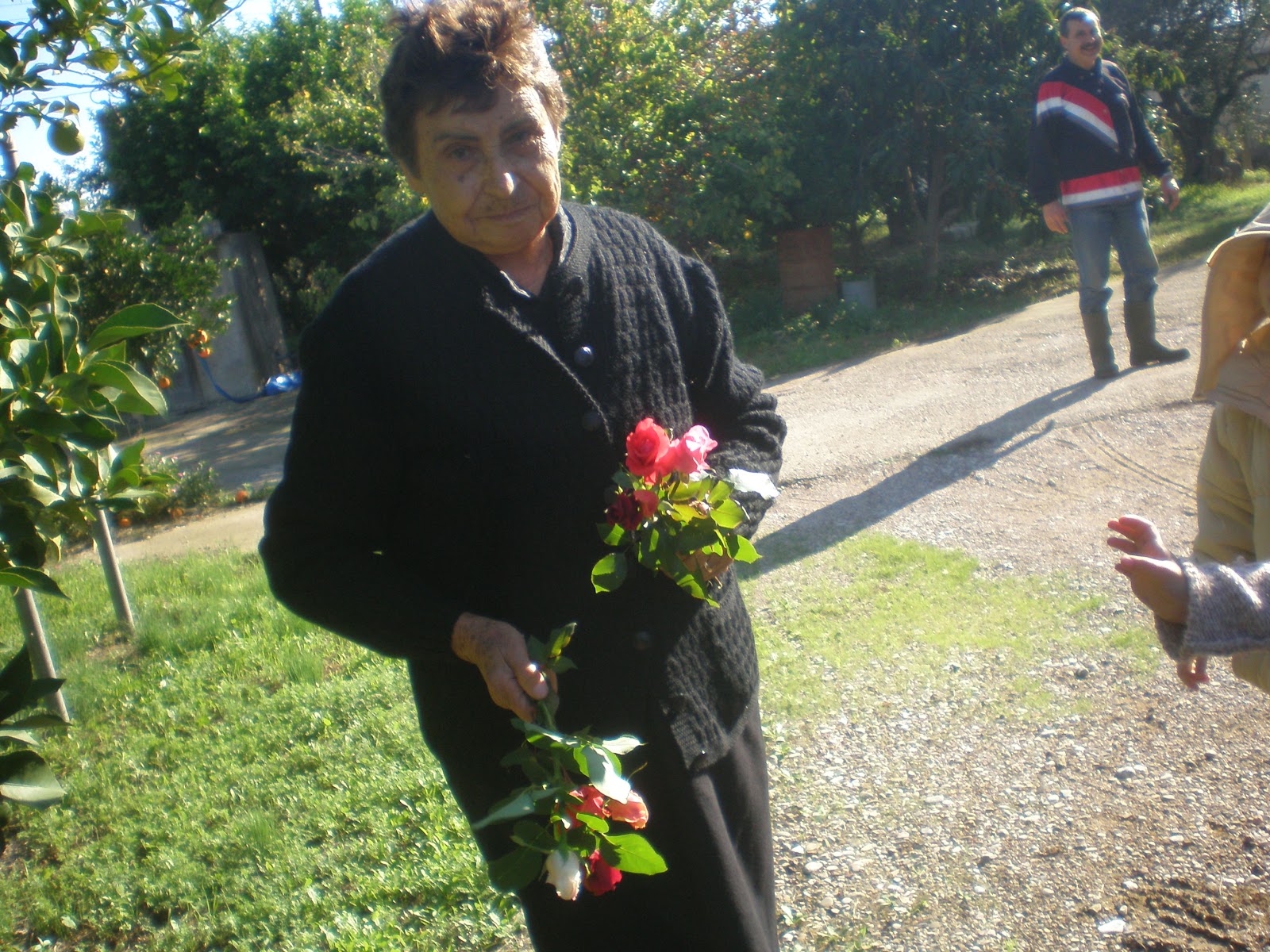 παιχνιδοκαμώματα στου νηπ/γειου τα δρώμενα: επίσκεψη σε ελαιώνα!!!!!