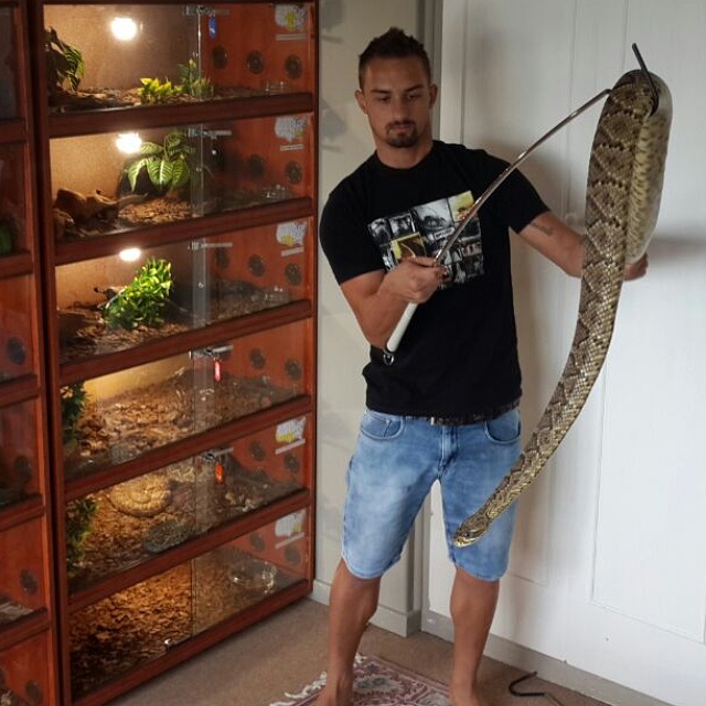 Injecting Snake Venom