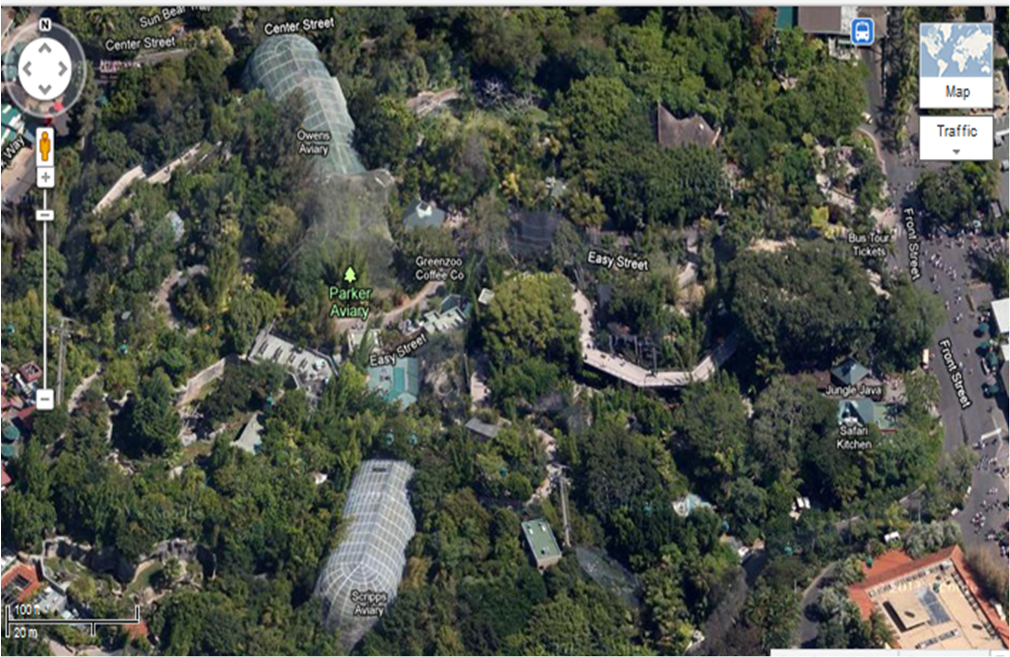 Zoo Tails: Aerial Antics: San Diego Zoo