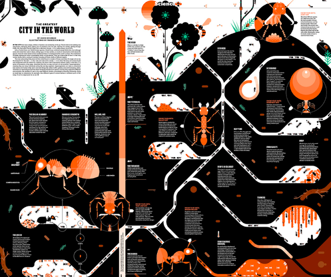 Seduced by the New...: New York Times Infographics