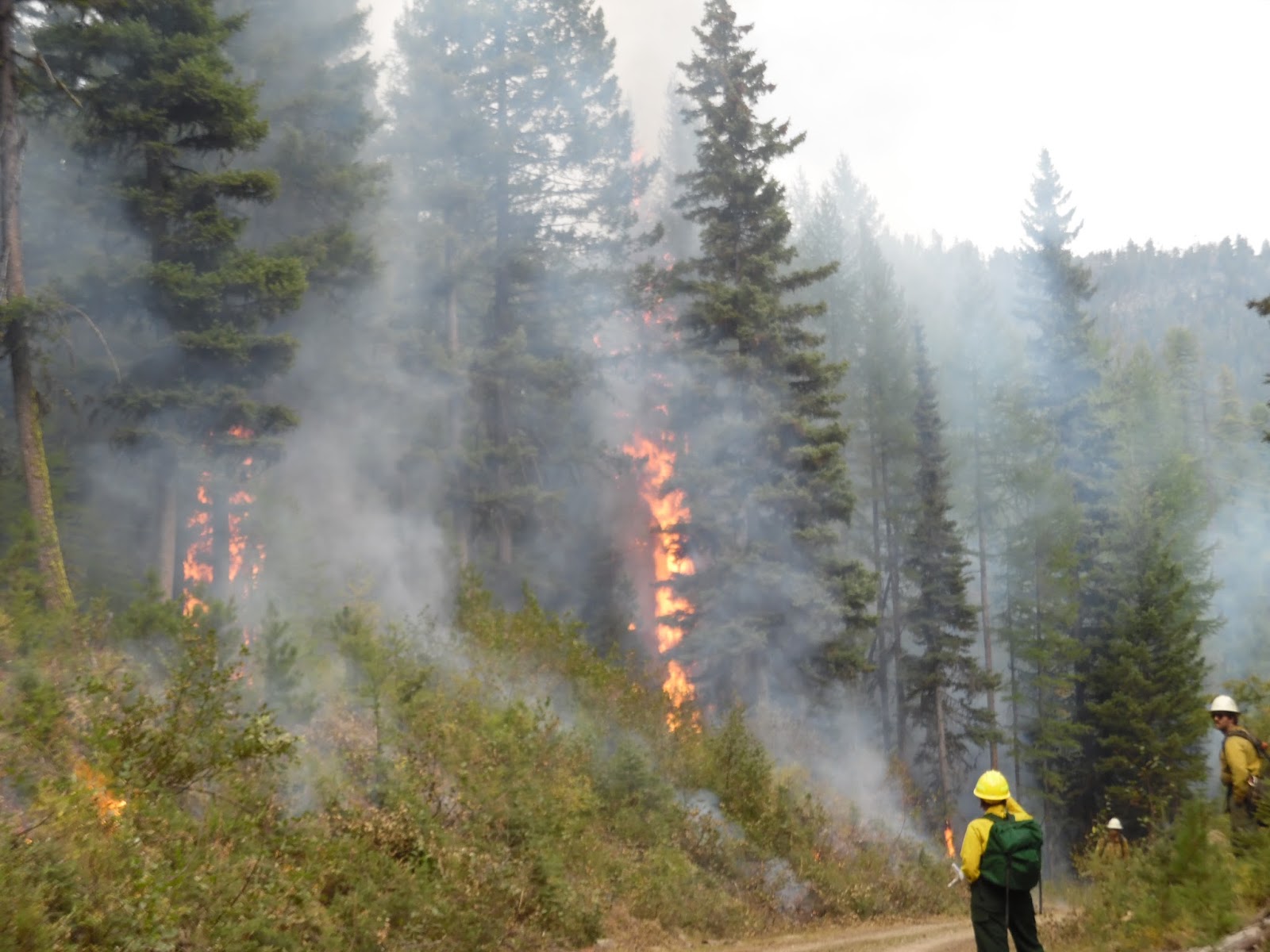 Okanogan Complex Fire Information: Fire Photos and Videos