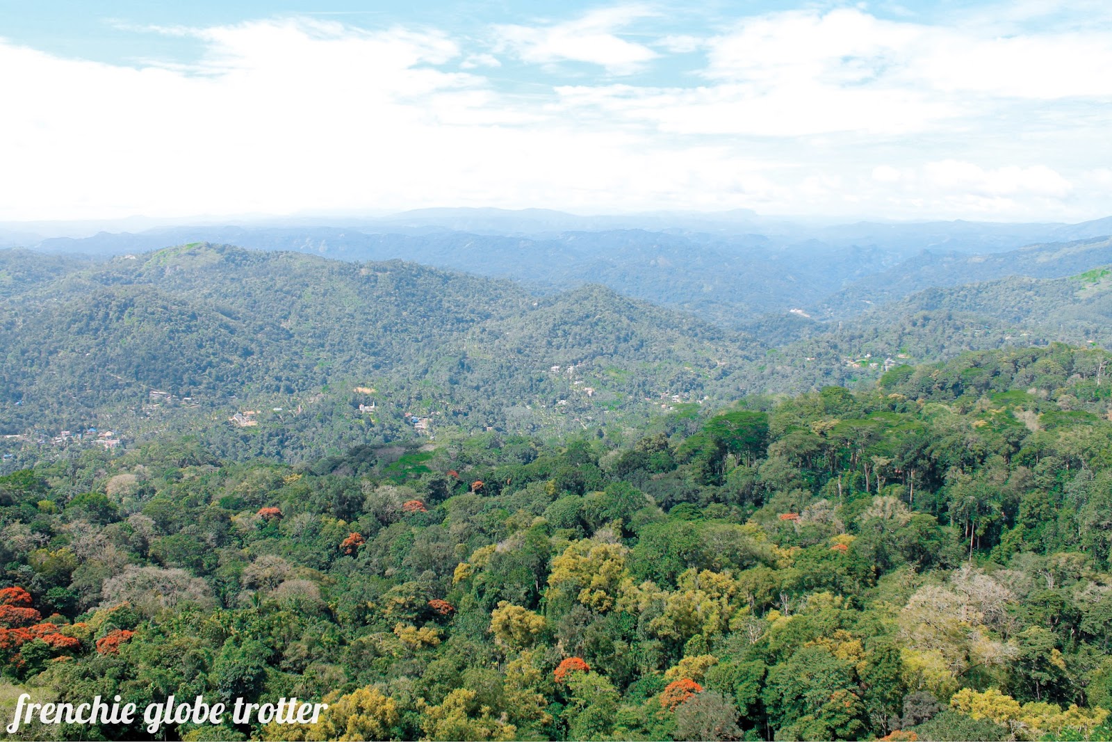 A French Girl and her Travels: What to do in Munnar, Kerala