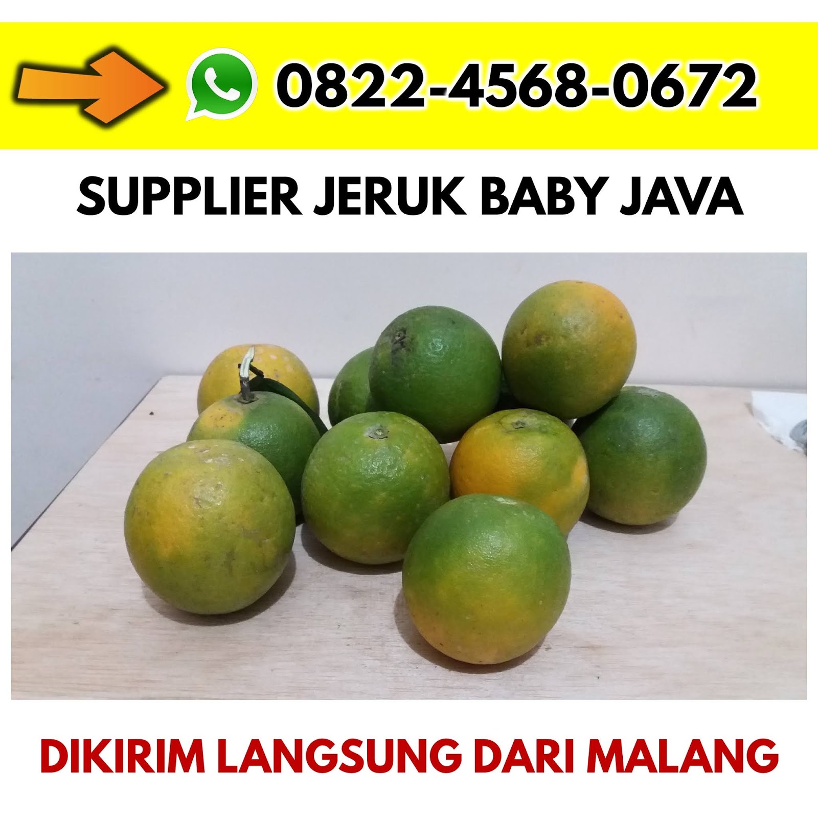 Supplier Jeruk Baby Java | 0822-4568-0672