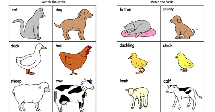 Third Grade Miróbriga: Farm animals