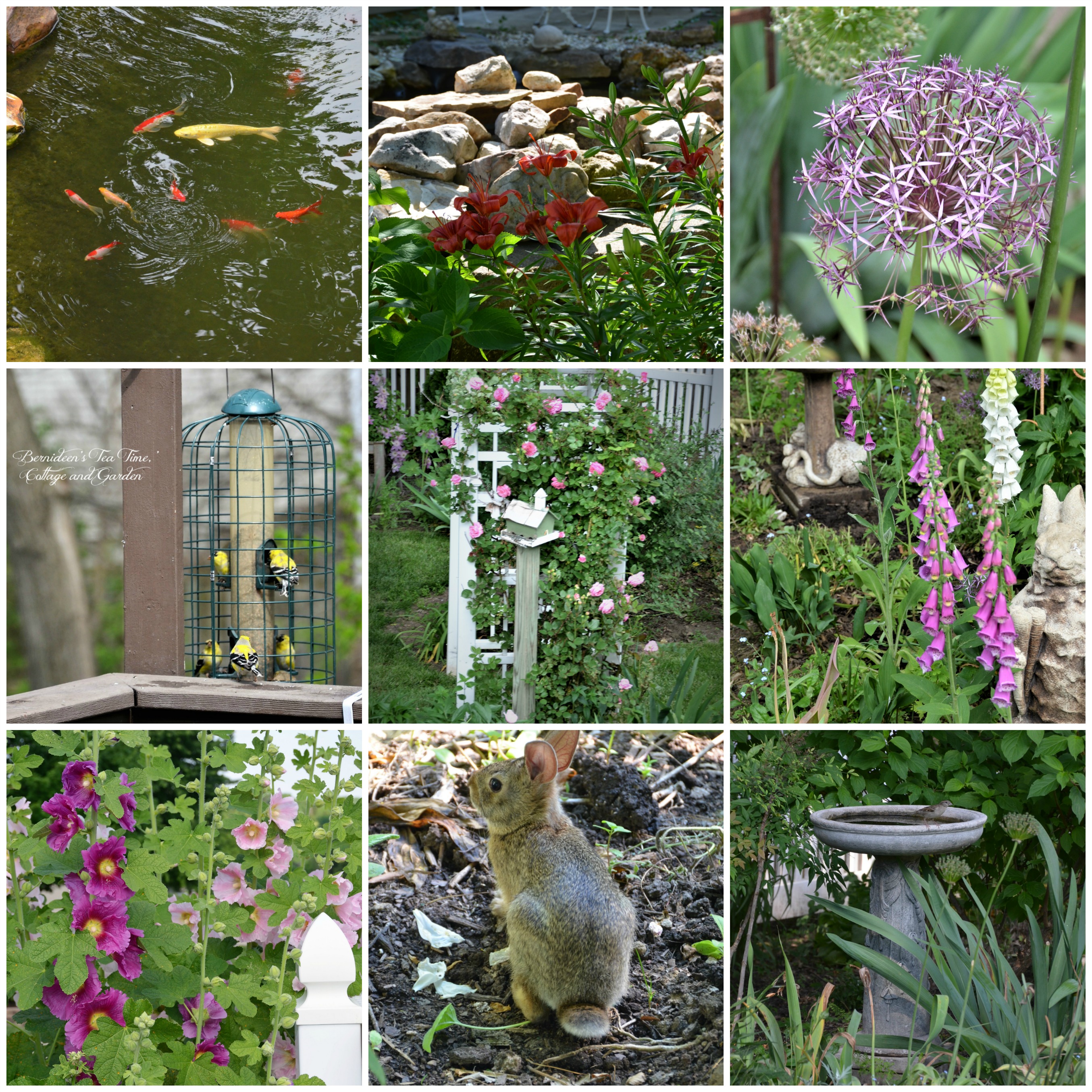 Bernideen's Tea Time, Cottage and Garden: JUNE COLLAGES