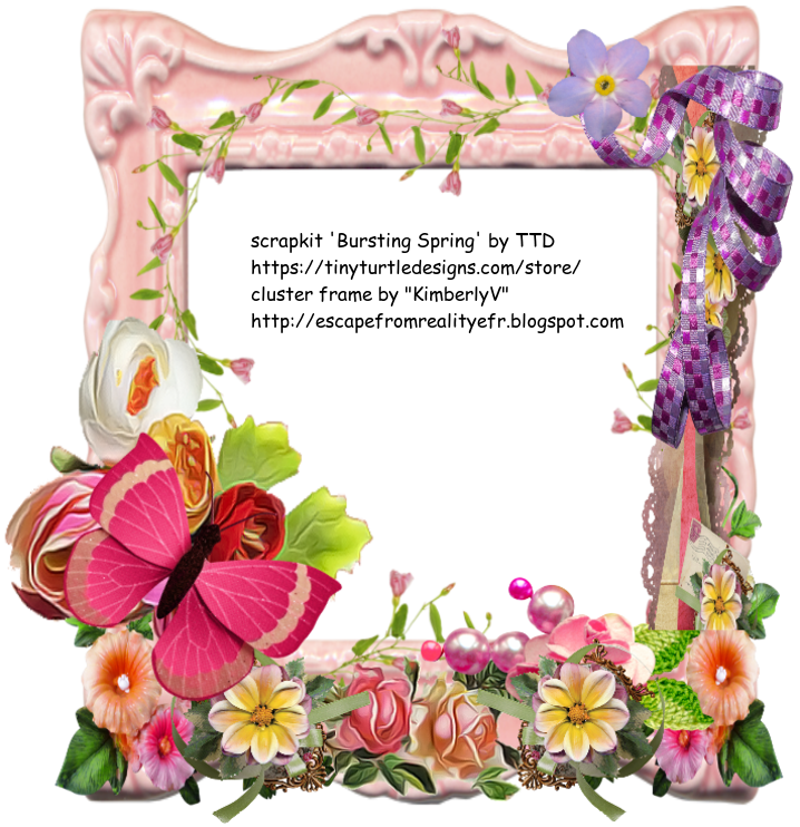 Escape From Reality Blog: FTU 'Bursting Spring' Cluster Frames TTD