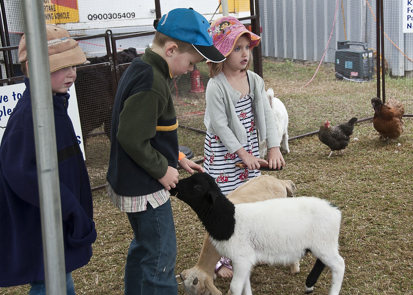 Mt Larcom Agricultural Show