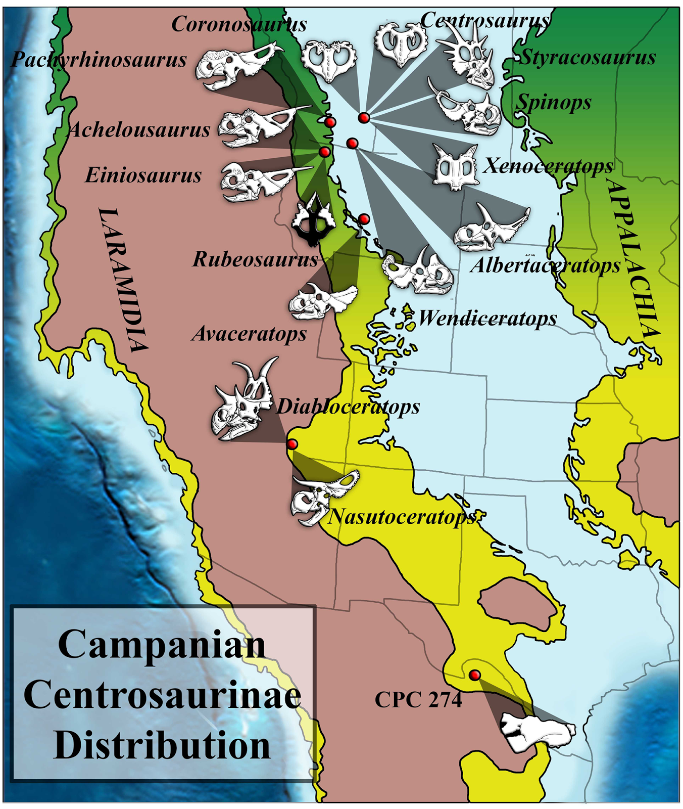 The Dragon's Tales: A new Cenrosaurine Ceratopsian From Campanian ...