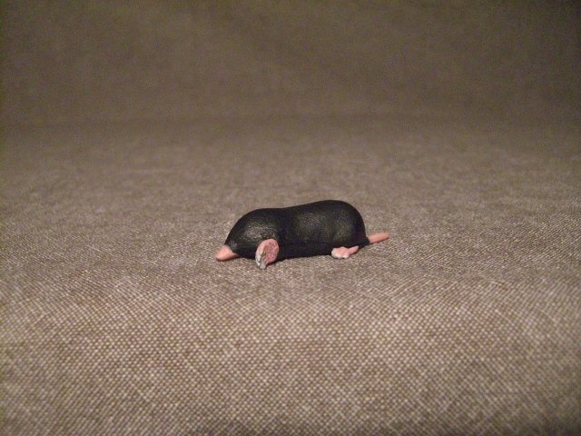 Steve's Replica Animals: Other Mammals