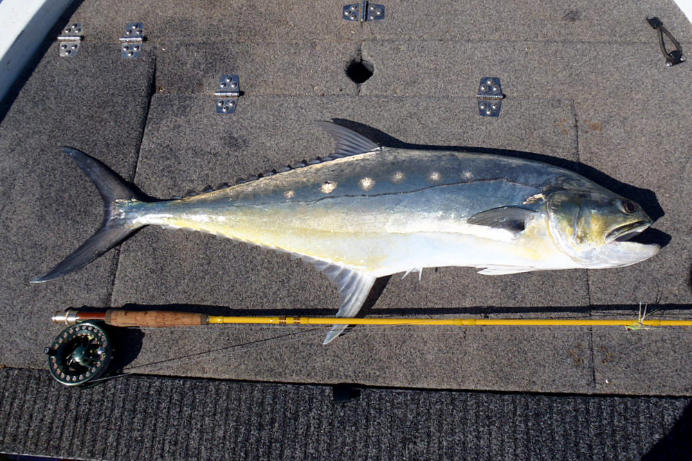 Ultralight Fly Fishing • Eagle Claw Featherlight