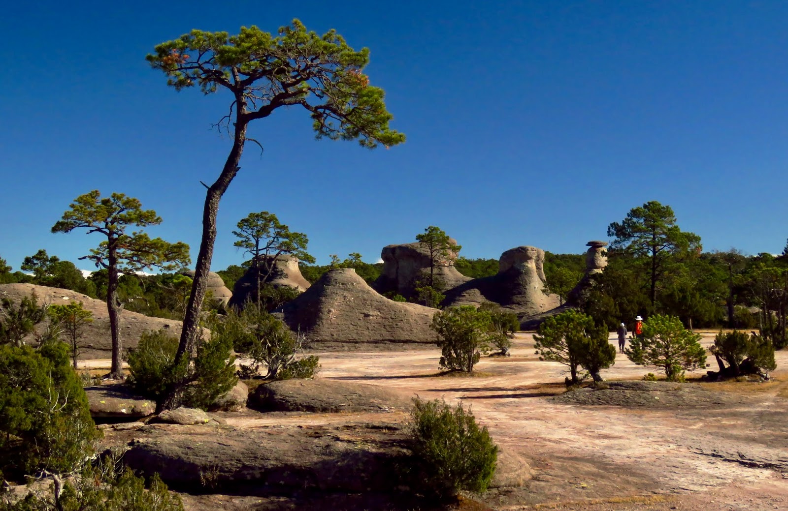 Wandering w/ Serenity: Parque Natural Mexiquillo