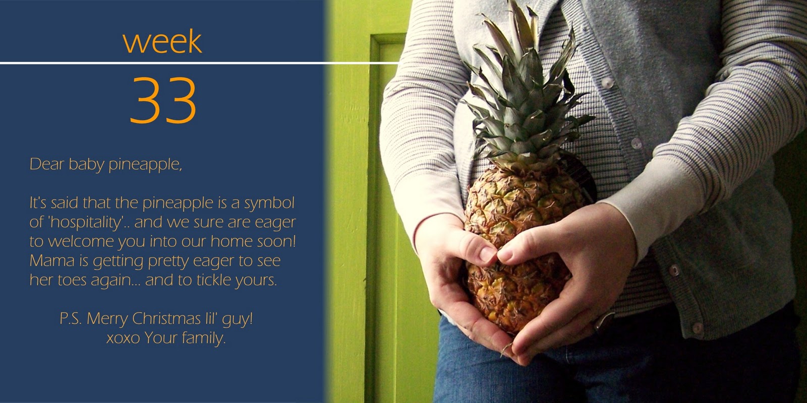 Needle and Nest Design: December 2011