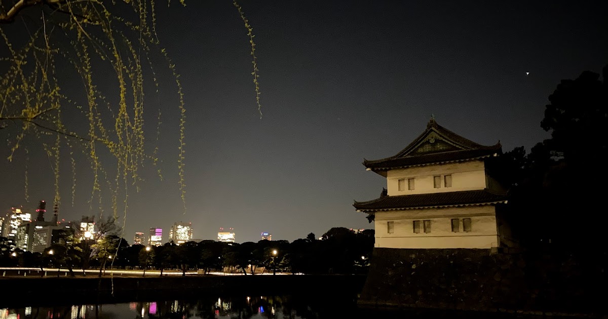 Japan by bike (train, bus, ship and plane): Night Hanami in Tokyo 東京で夜桜