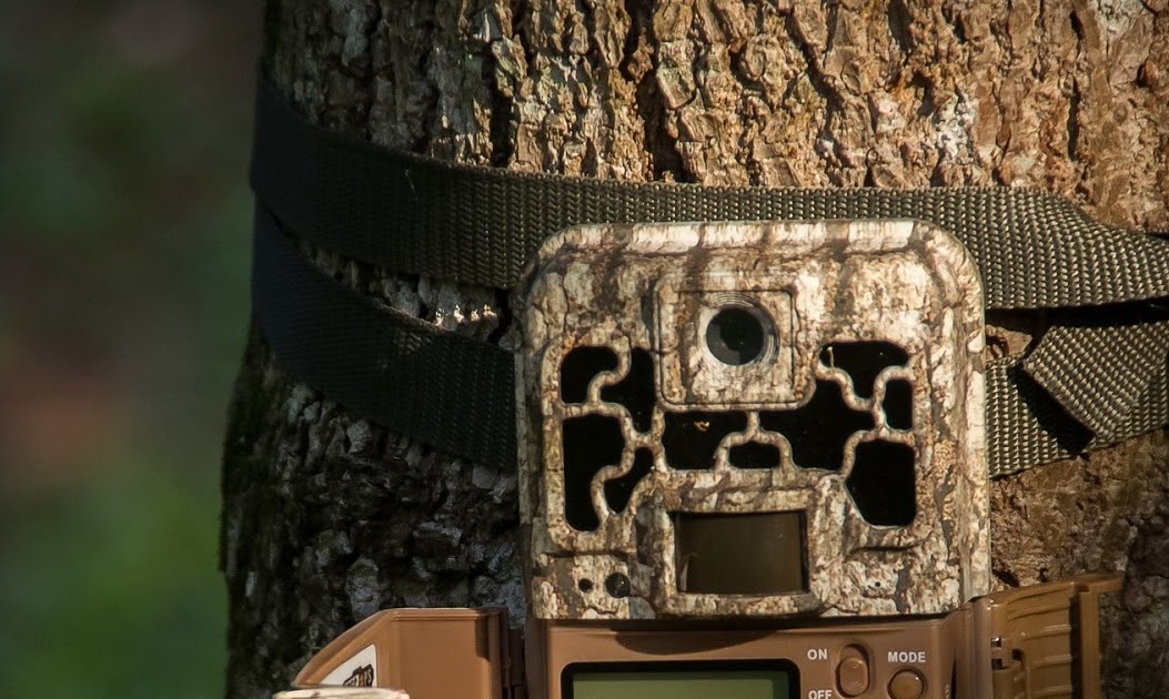 More Creepy Trail Cam Photos ~ The Crypto Crew