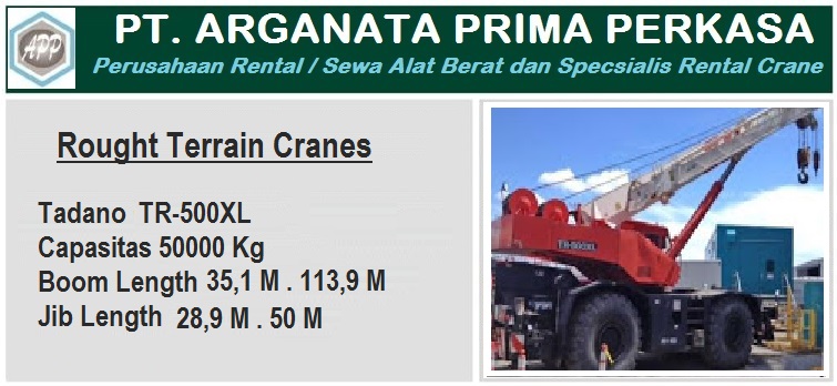 Rental Crane: Rafter Crane