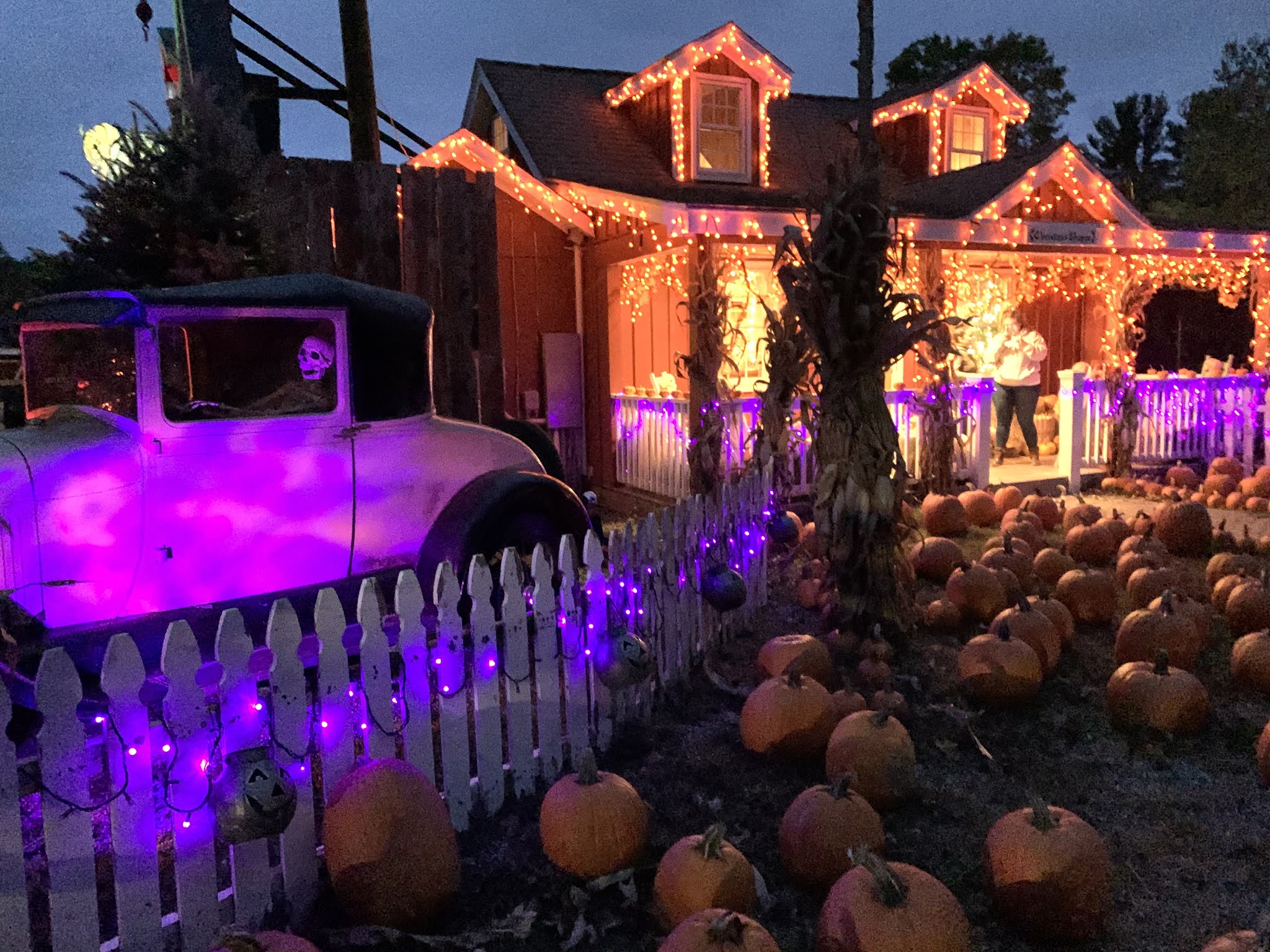 Halloween New England: Weekly Top Picks Oct 15th - 21st, 2020