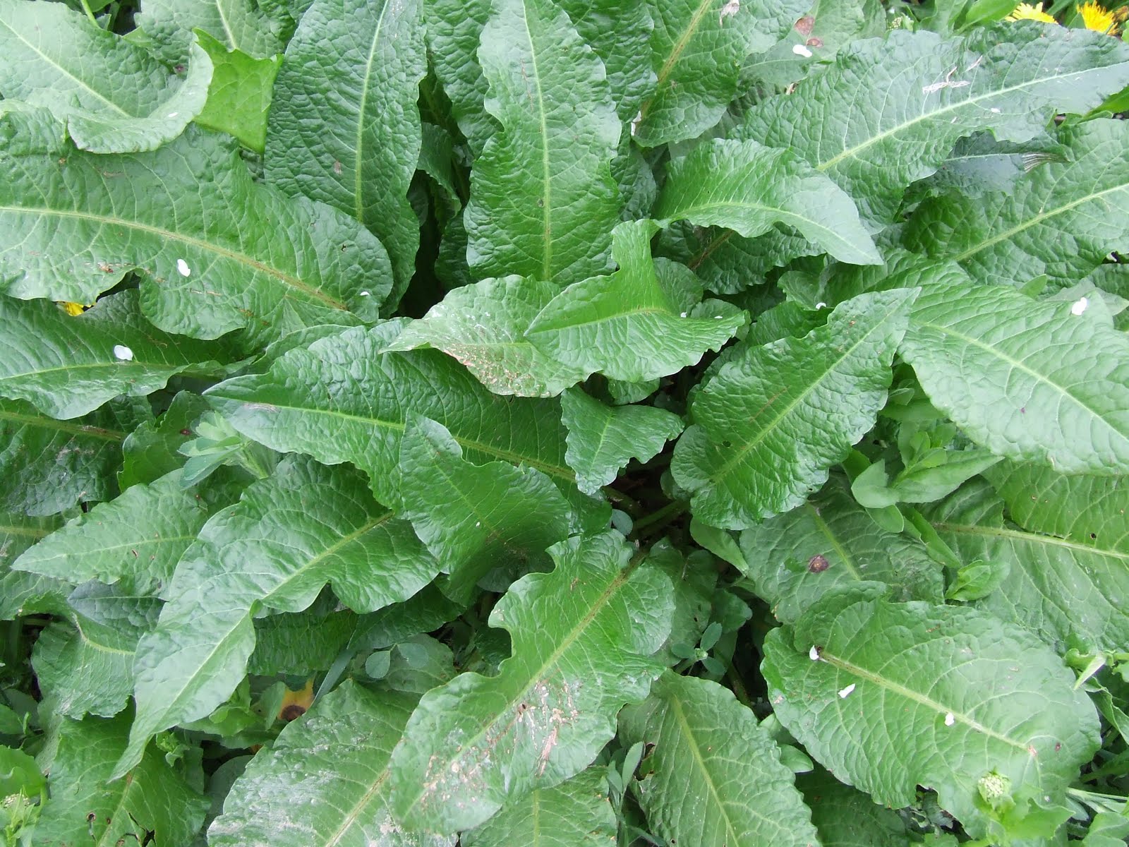 Timp liber: iunie 2011