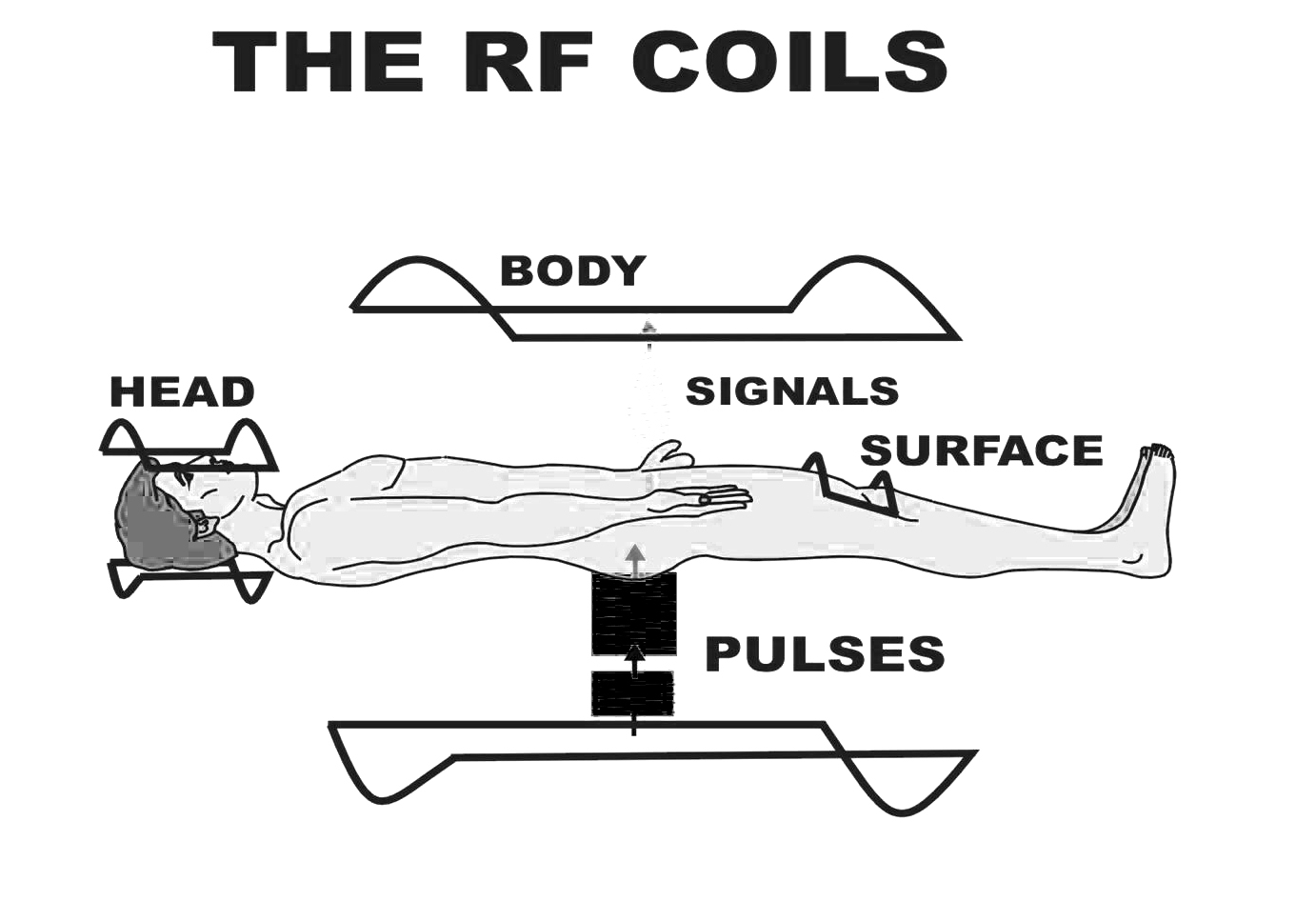 MRI Basic Equipments Needed - RadTechOnDuty