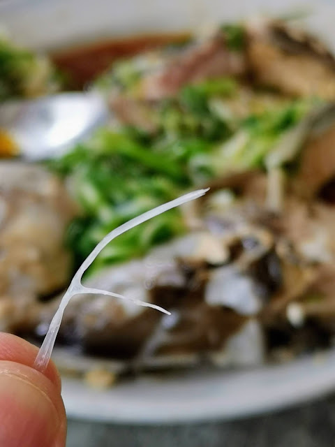 Where to Eat Empurau Most Expensive Unforgettable Fish in Singapore 忘不了 ...