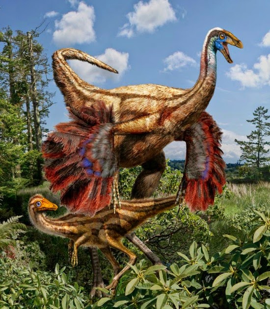 A (palaeo)biologist postdoc's views of the past, present and future ...