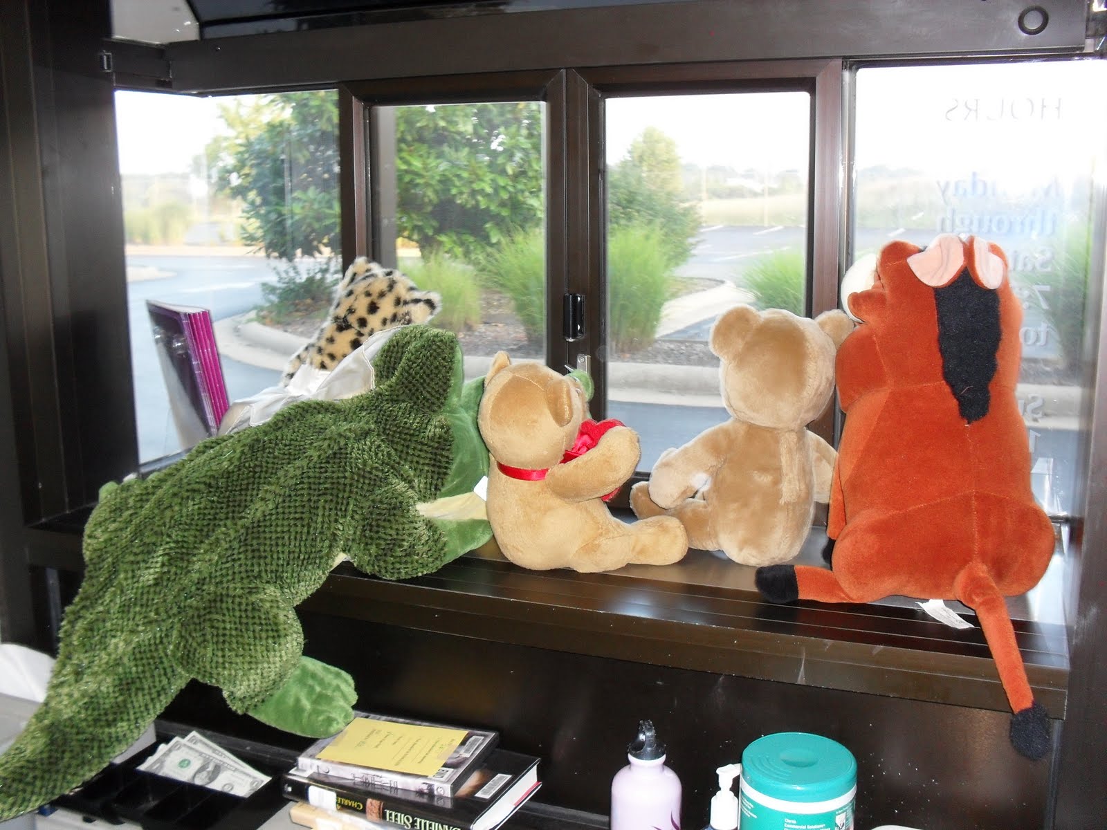 Library Programs: Stuffed Animal Sleepover