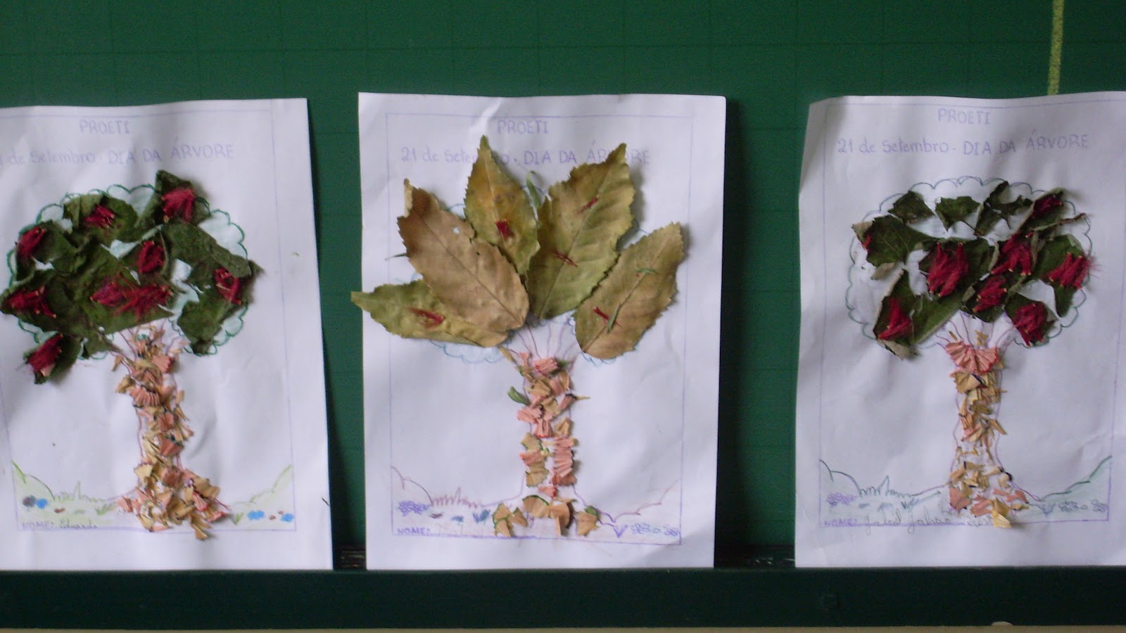 E.E.GERALDO STARLING SOARES: A PRIMAVERA CHEGOU NO PROETI