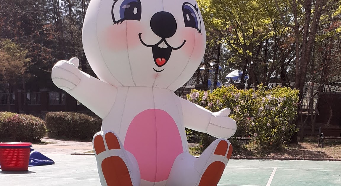 HAPPYHAZEL: follow the rabbit