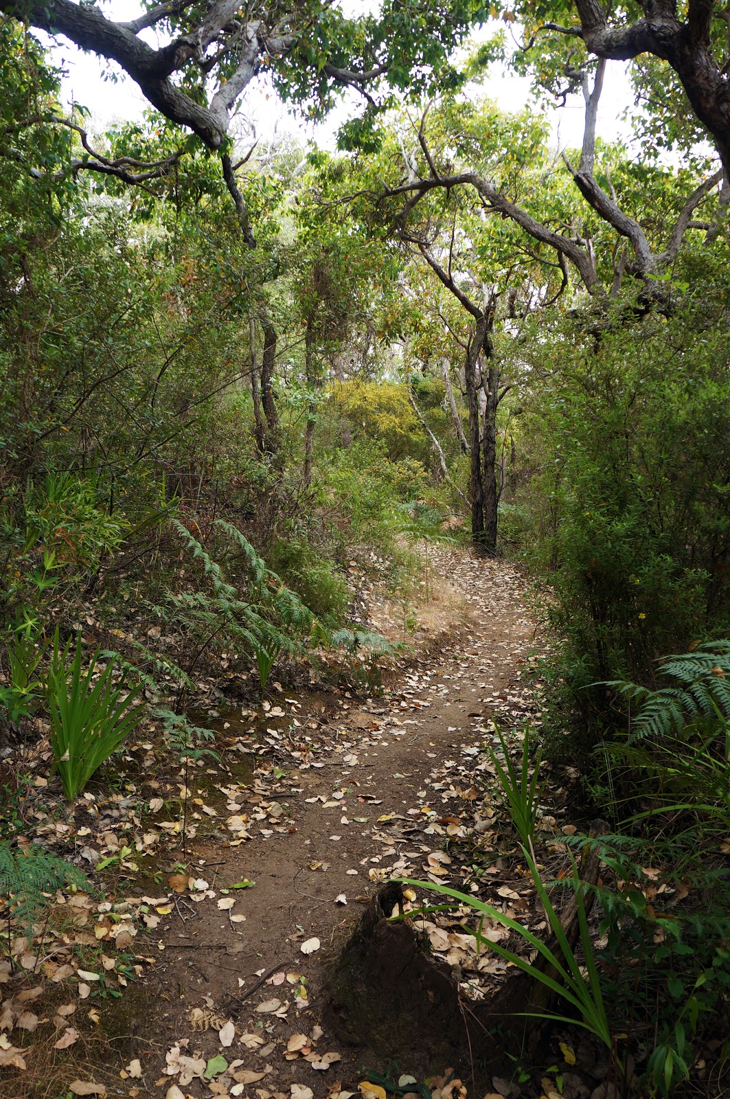 Point Possession Heritage Trail (Quaranup) ~ The Long Way's Better