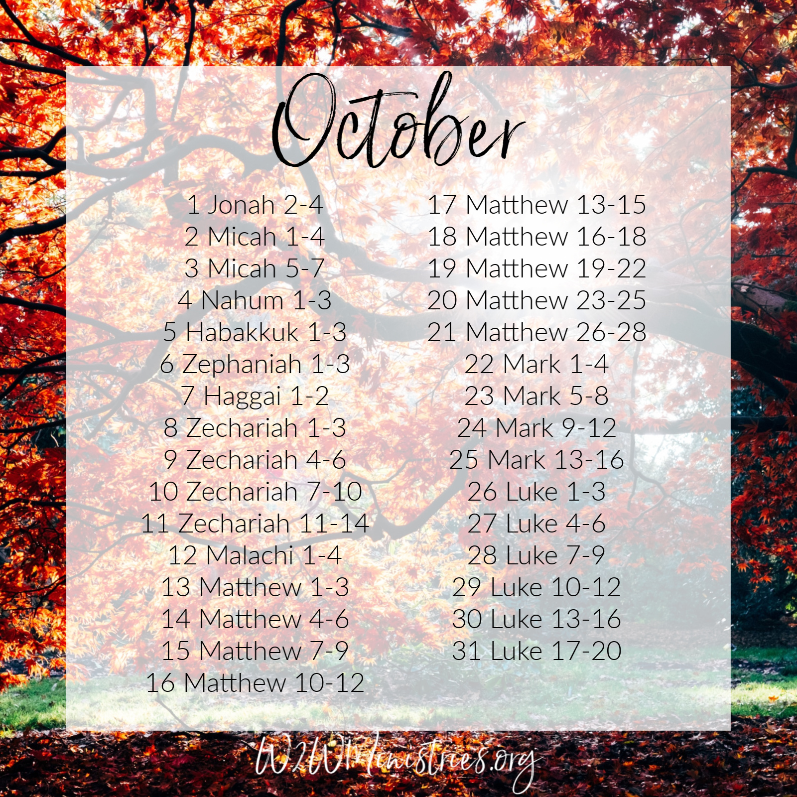 Woman to Woman: One Year Bible Reading Plan